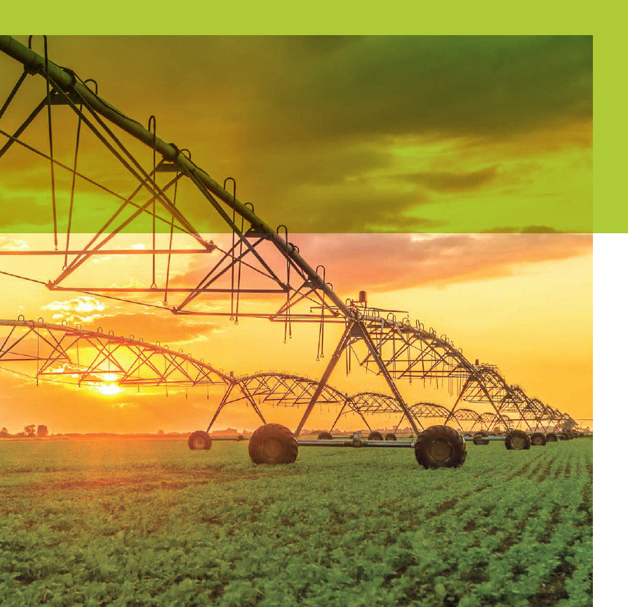 American Dream International